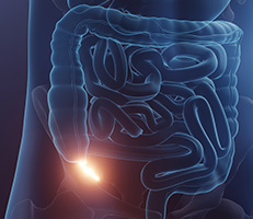 Advanced Laparoscopic Treatment by the Best Laparoscopic Surgeons